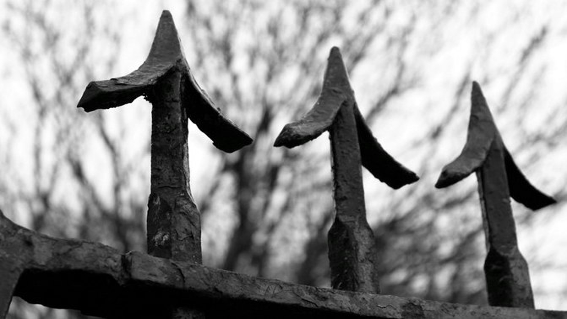 Edmonstone house and park – Hole Ousia