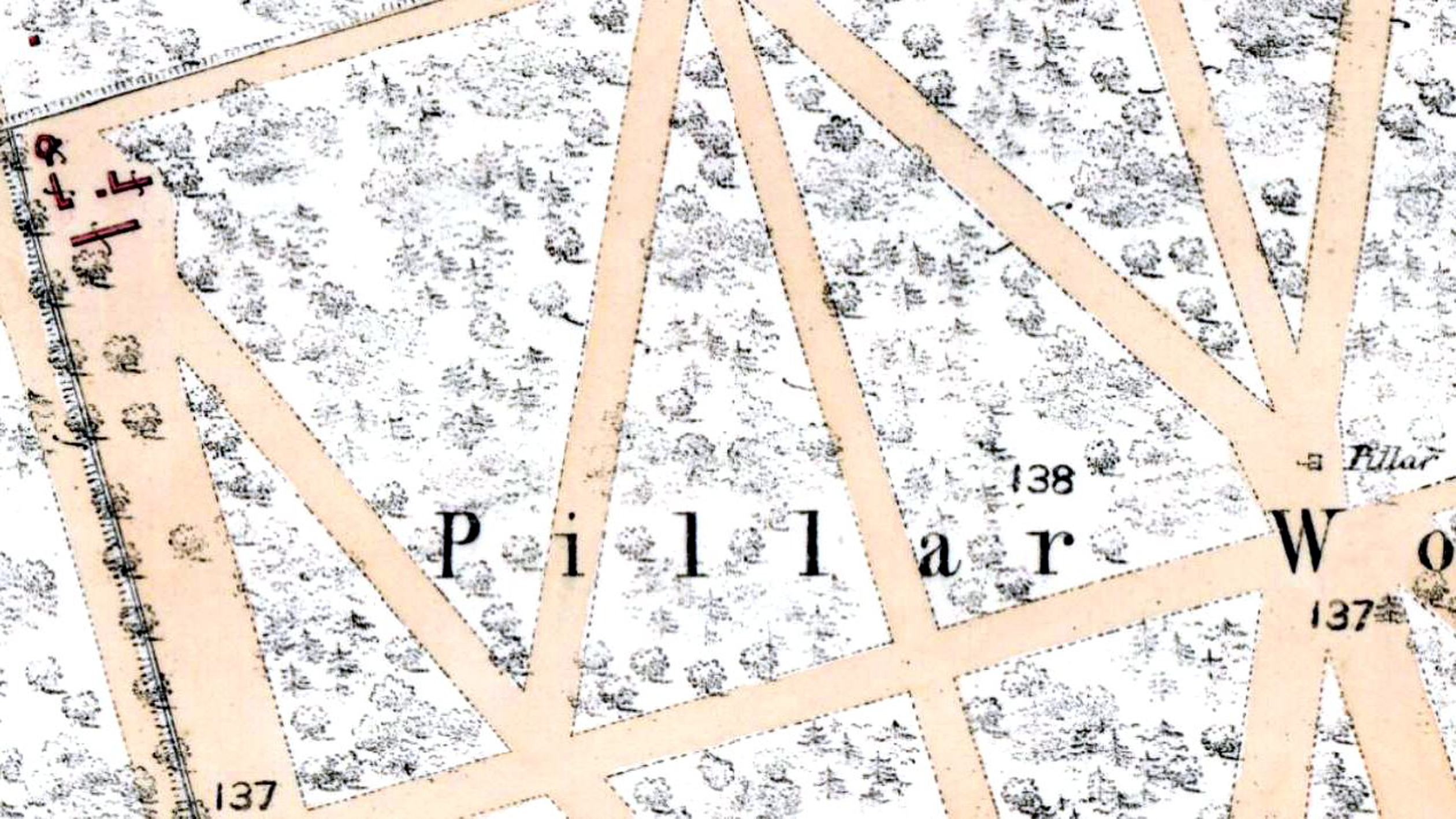 1858 OS map Panmure b – Hole Ousia