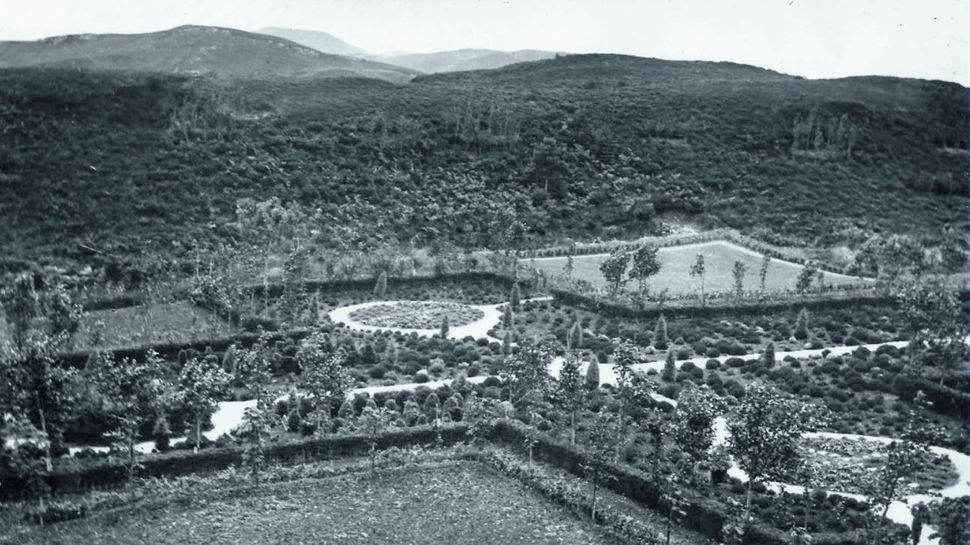 1920s Glencruitten Cathedral of Trees (2) – Hole Ousia