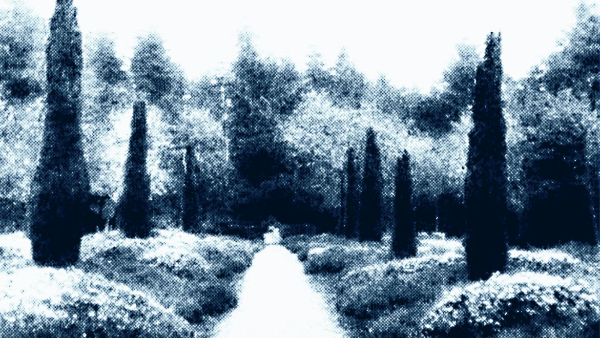Glencruitten Cathedral of Trees – 1952 – Hole Ousia