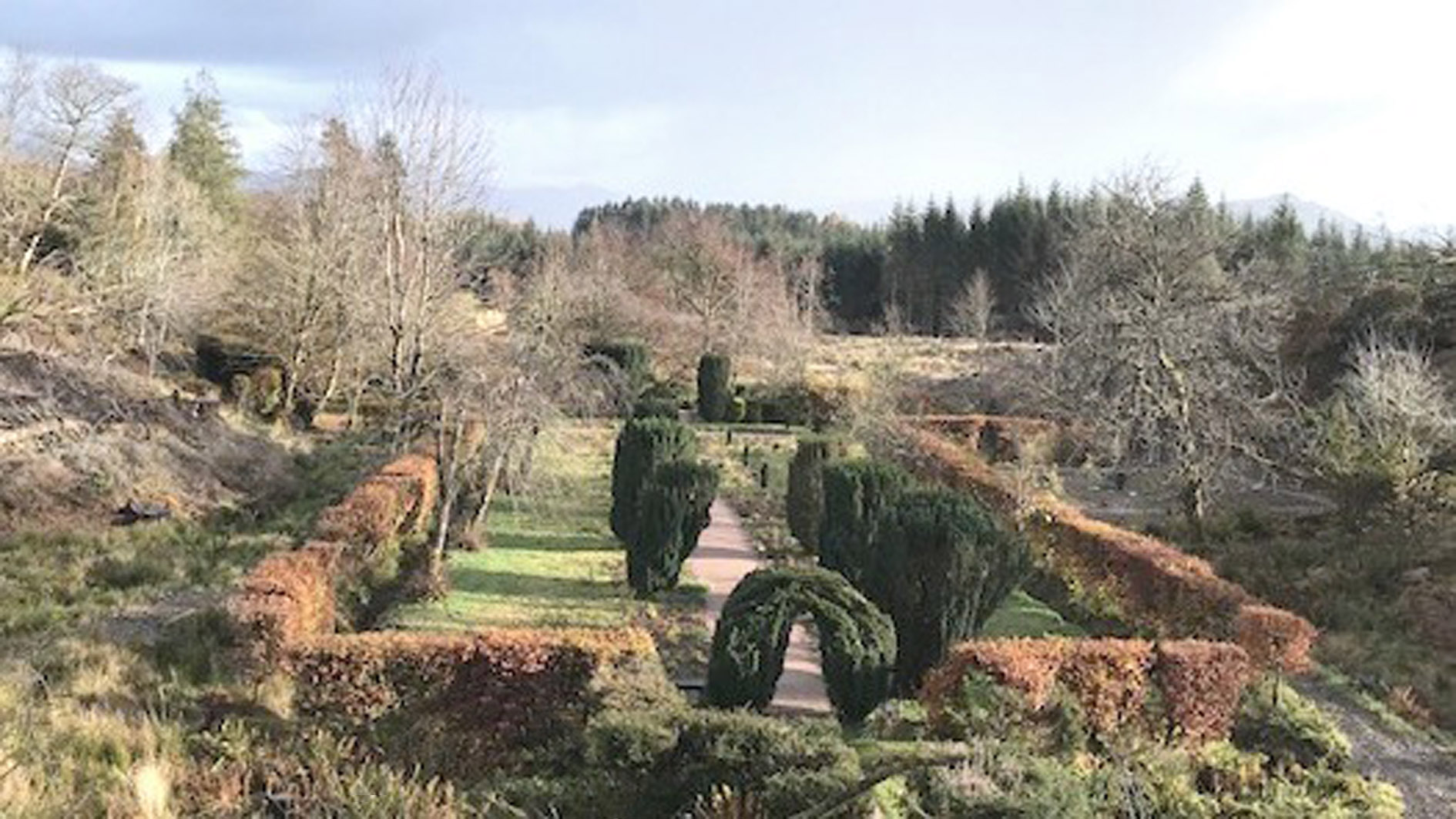 Glencruitten Cathedral of Trees (6) – Hole Ousia