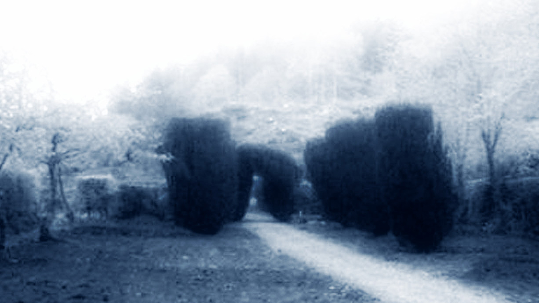 Glencruitten Cathedral of Trees (7) – Hole Ousia