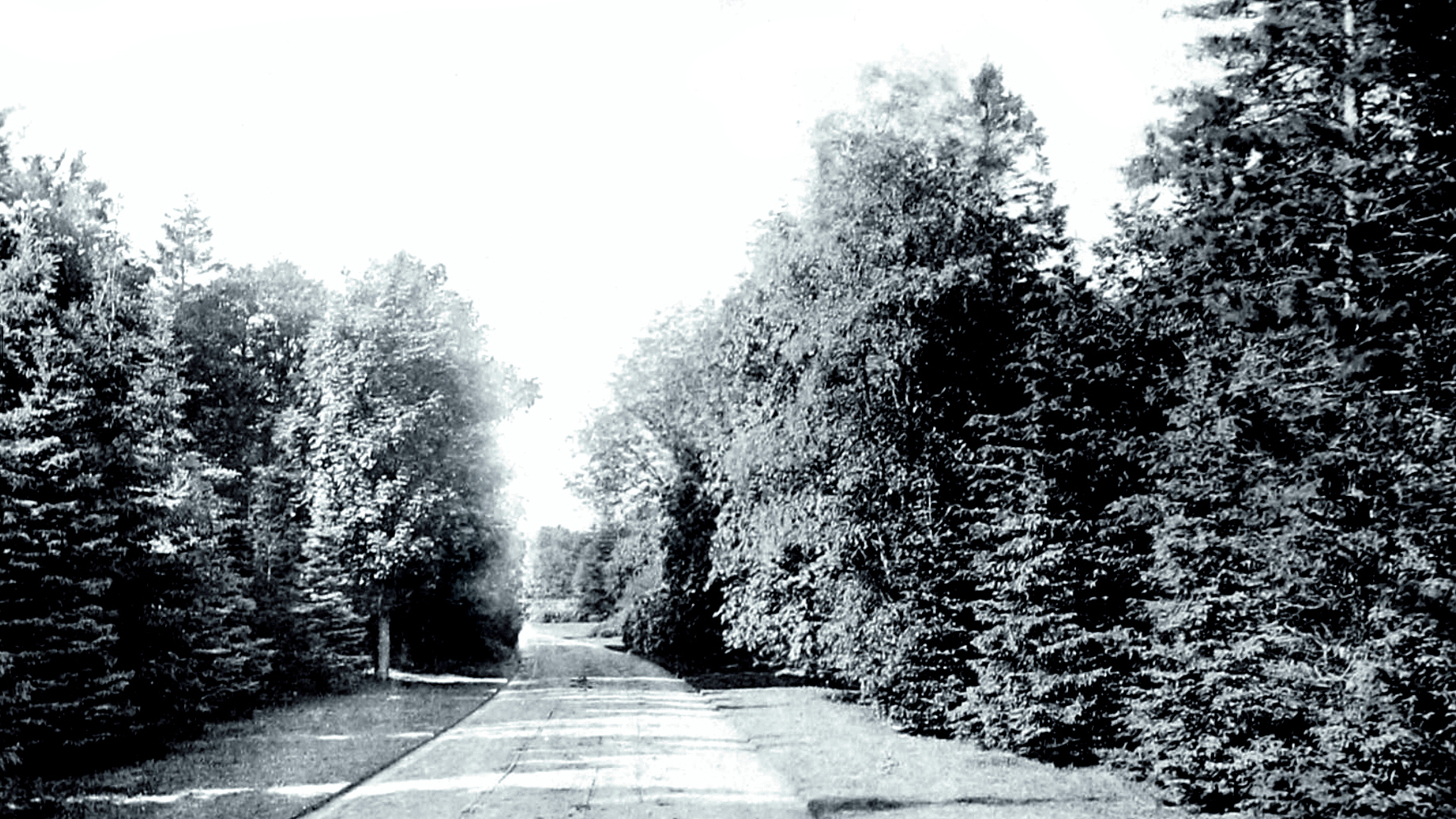 08 Strichen House, 5 April 1918 – Hole Ousia