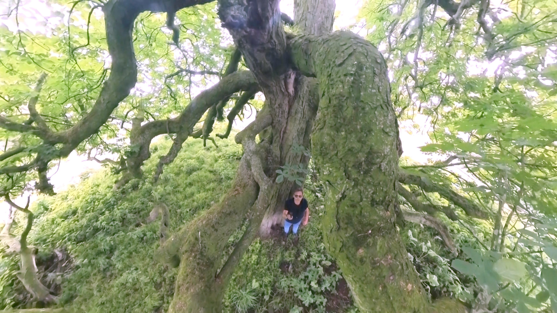 Strichen House and policies, 2 June 2024 (22) – Hole Ousia